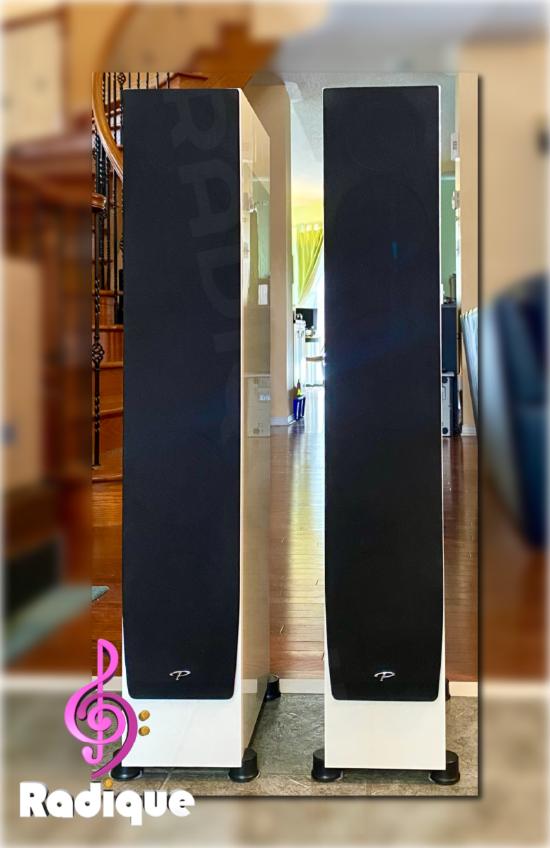 Recent Model 5 Driver Paradigm Floor Standers Monitor SE 6000F ...
