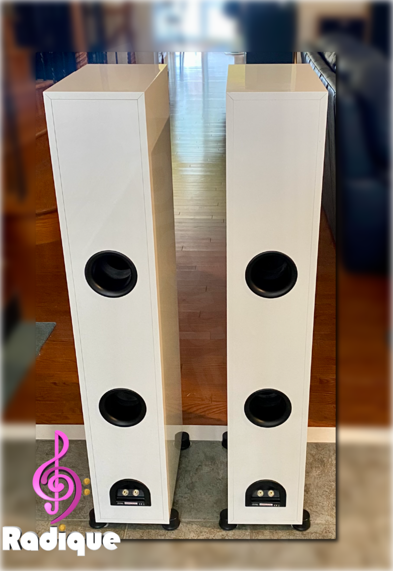 Recent Model 5 Driver Paradigm Floor Standers Monitor SE 6000F ...