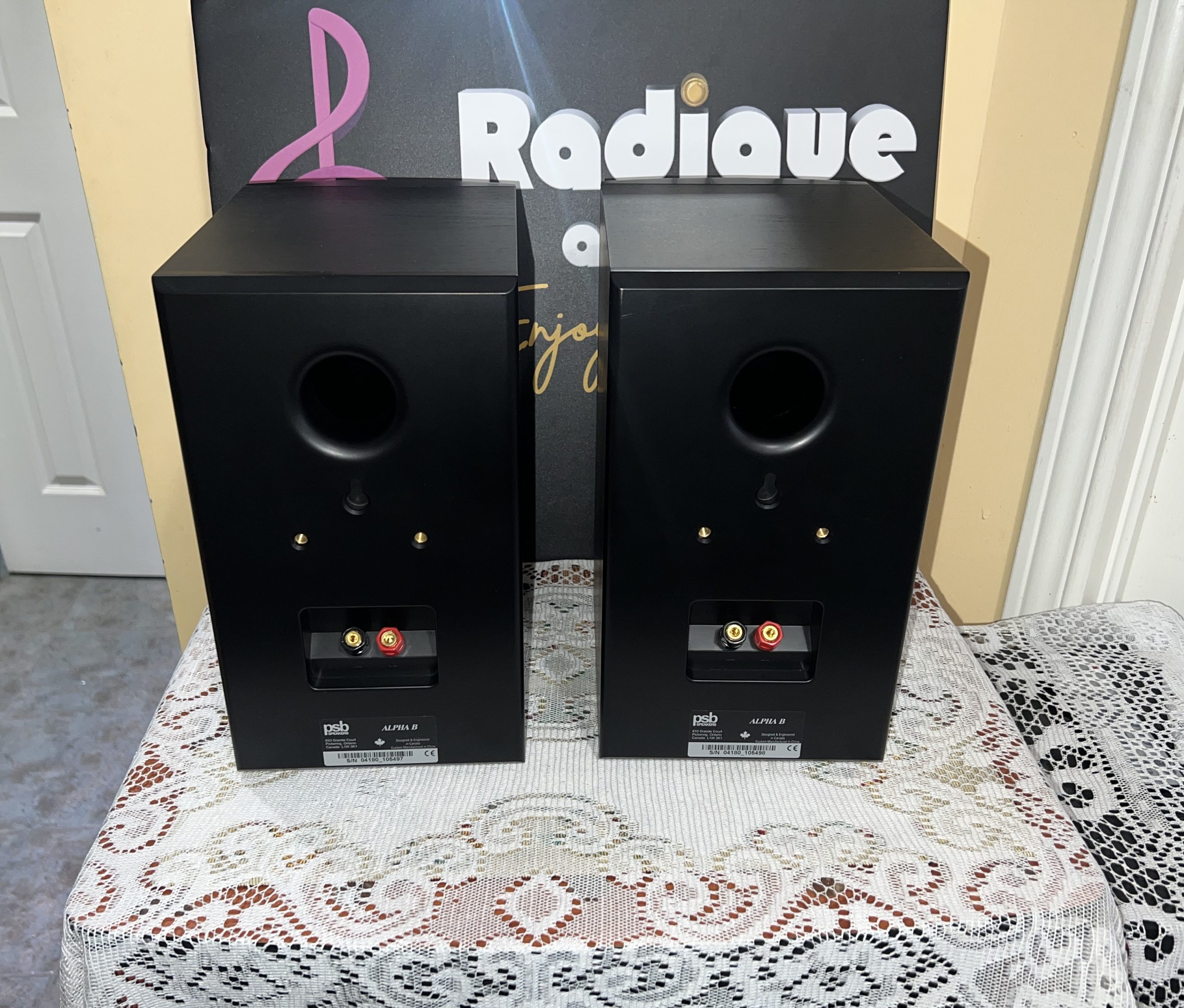 PSB Alpha B Bookshelf Speakers Made in Canada, Metal Grills - Radique Inc