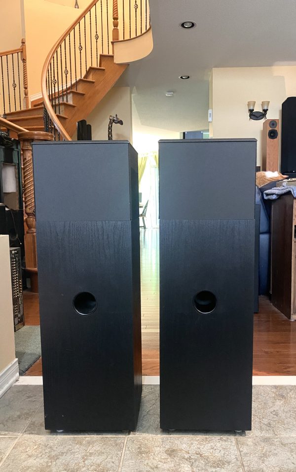 Legendary TOTL Bose Tower Speakers 701 (Series I) - Radique Inc