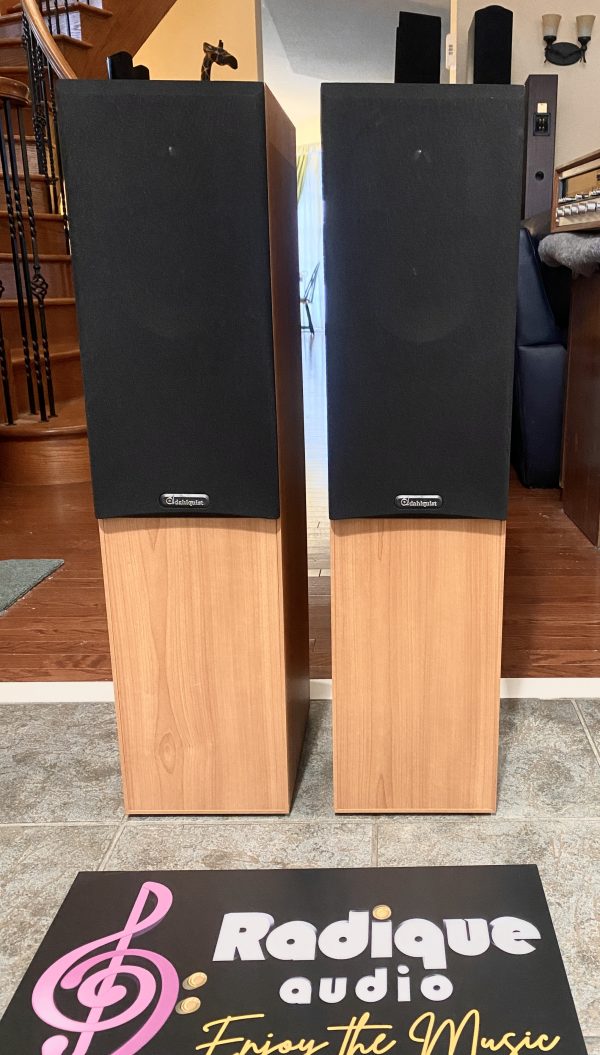 Attractive Dahlquist 2-Way Tower Speakers in Light Cherry QX8 - Radique Inc