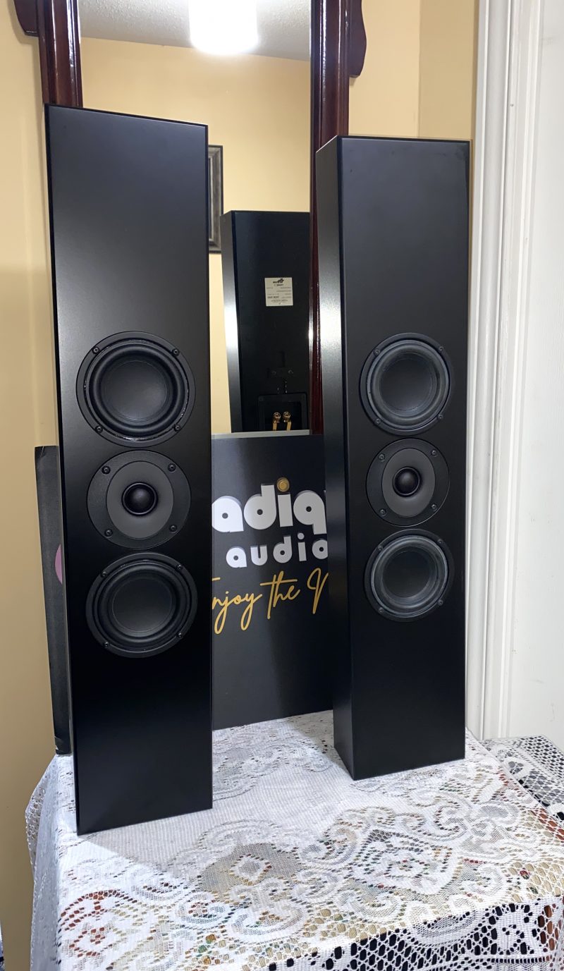 High-End Totem Wall-Mount Speakers Tribe II - Radique Inc