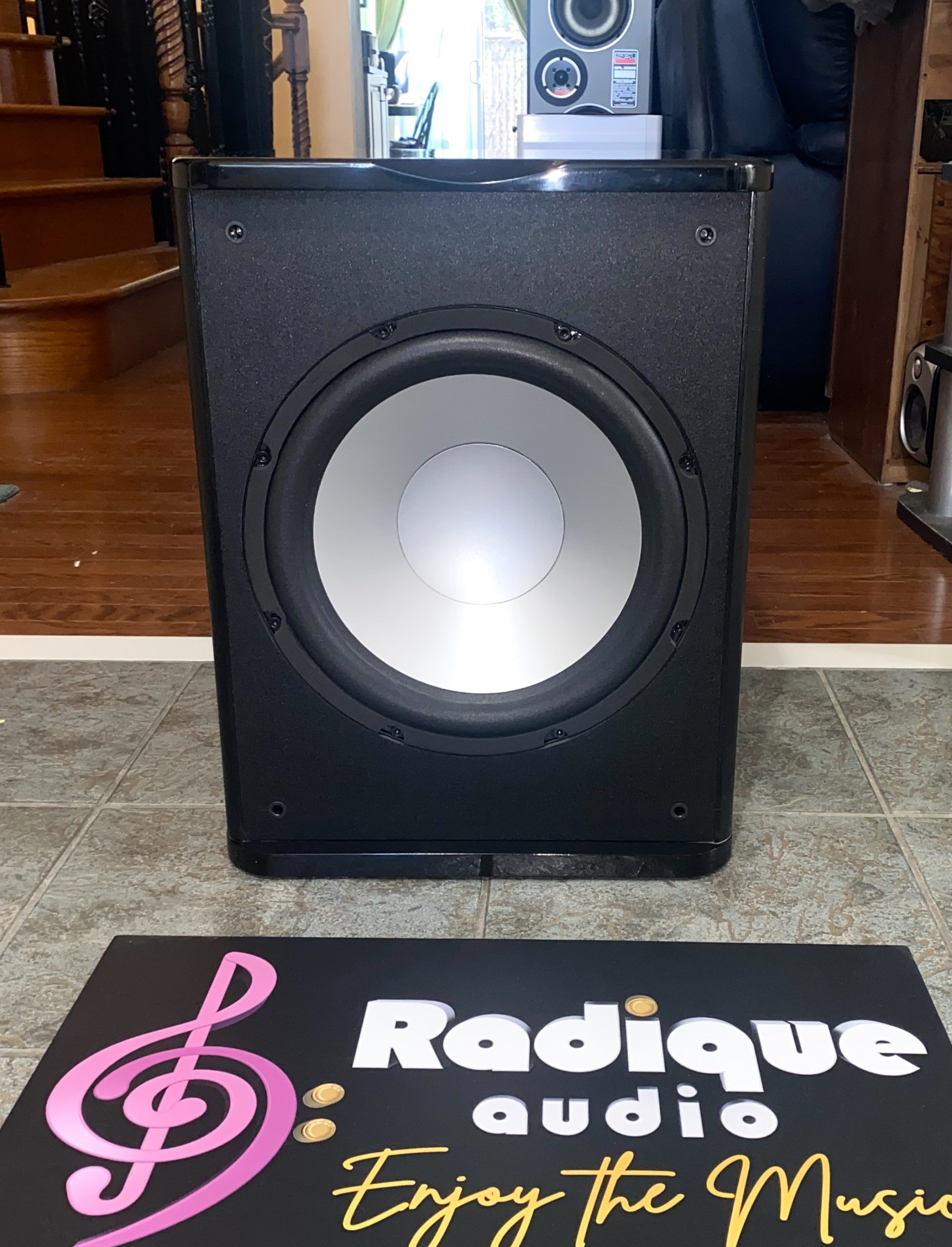 Very Musical 12" Premier Acoustic Subwoofer PA-120SUB - Radique Inc