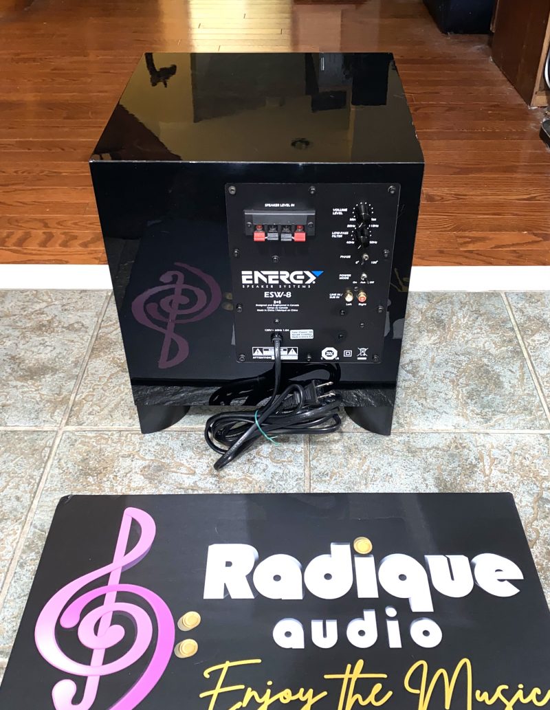 Energy ESW-8 200 Watt Powered Subwoofer - Radique Inc